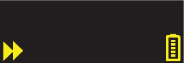 Icons on the TASER X2 display (CID)