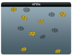 TASER cartridges overview