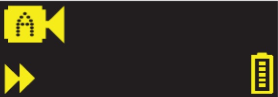 Icons on the TASER X2 display (CID)