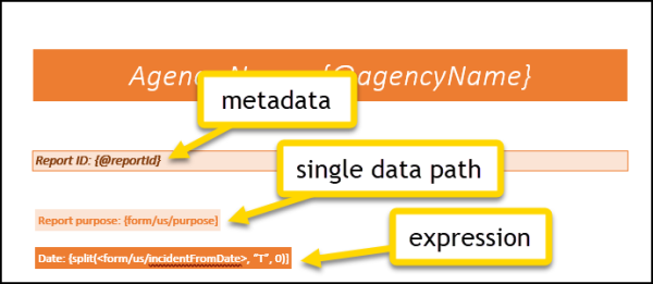 DOCX Template Mapping Guide - Axon Standards