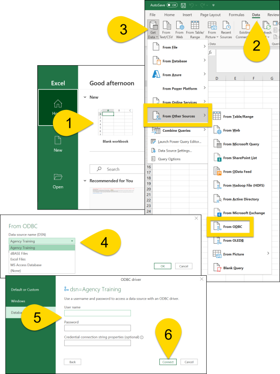 Link ODBC server to Microsoft Excel - Axon Records DataStore v1
